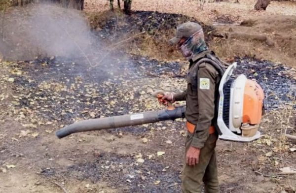 Innovative Approaches to Tackle Forest Fires - Wildlife Trust of India