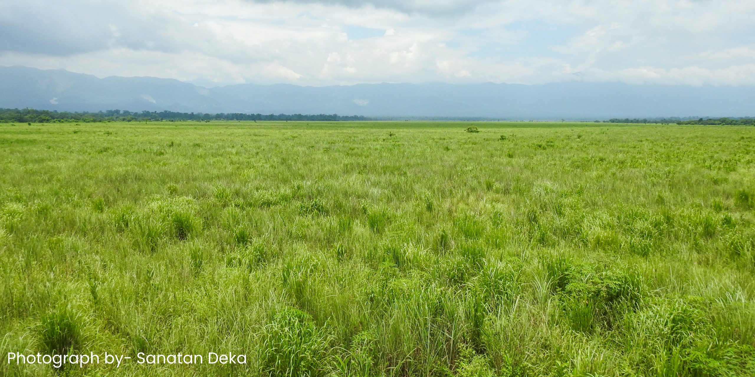 PROTECTED AREA RECOVERY - Wildlife Trust of India