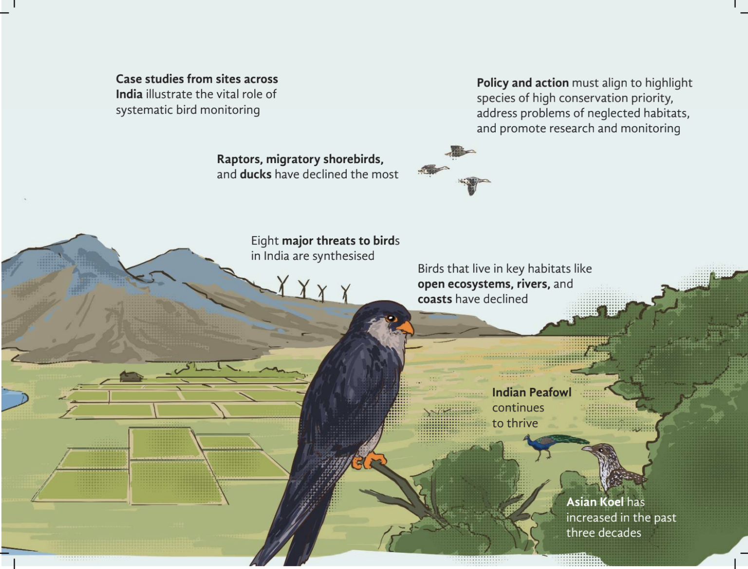 WTI partners in the launch of the State of India's Birds 2023 report ...