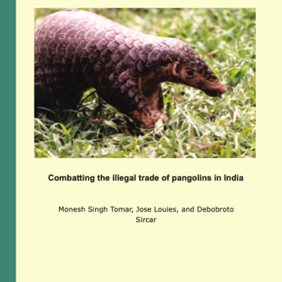 Canopy bridges – A hope to protect the Mysore slender loris - Wildlife ...