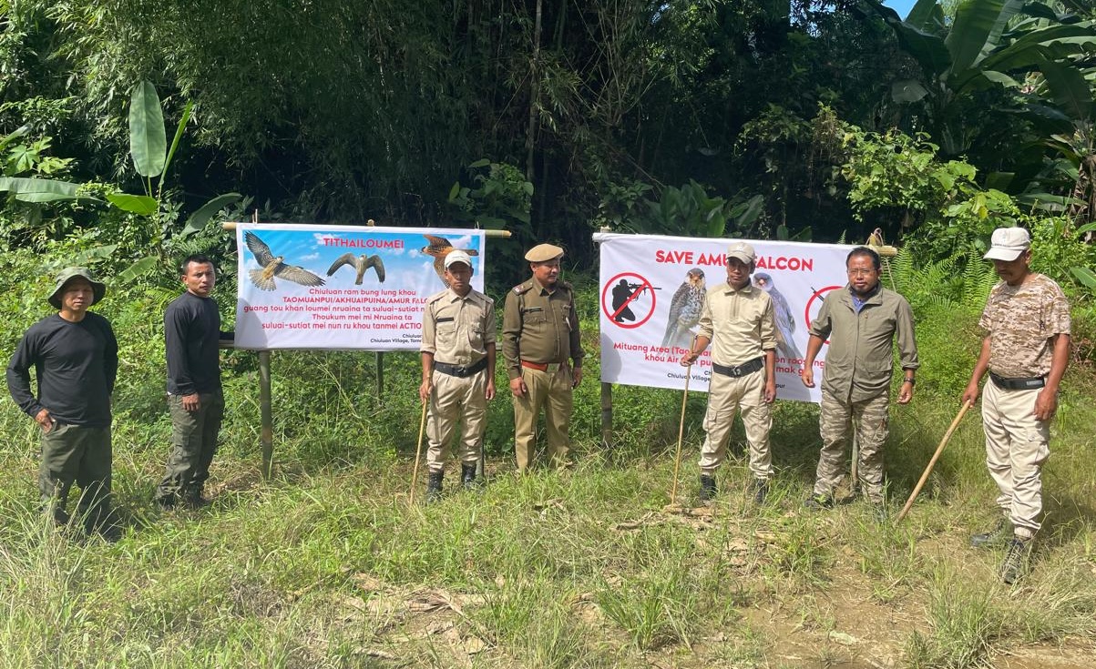 Rapid conservation actions to protect migratory birds in India ...