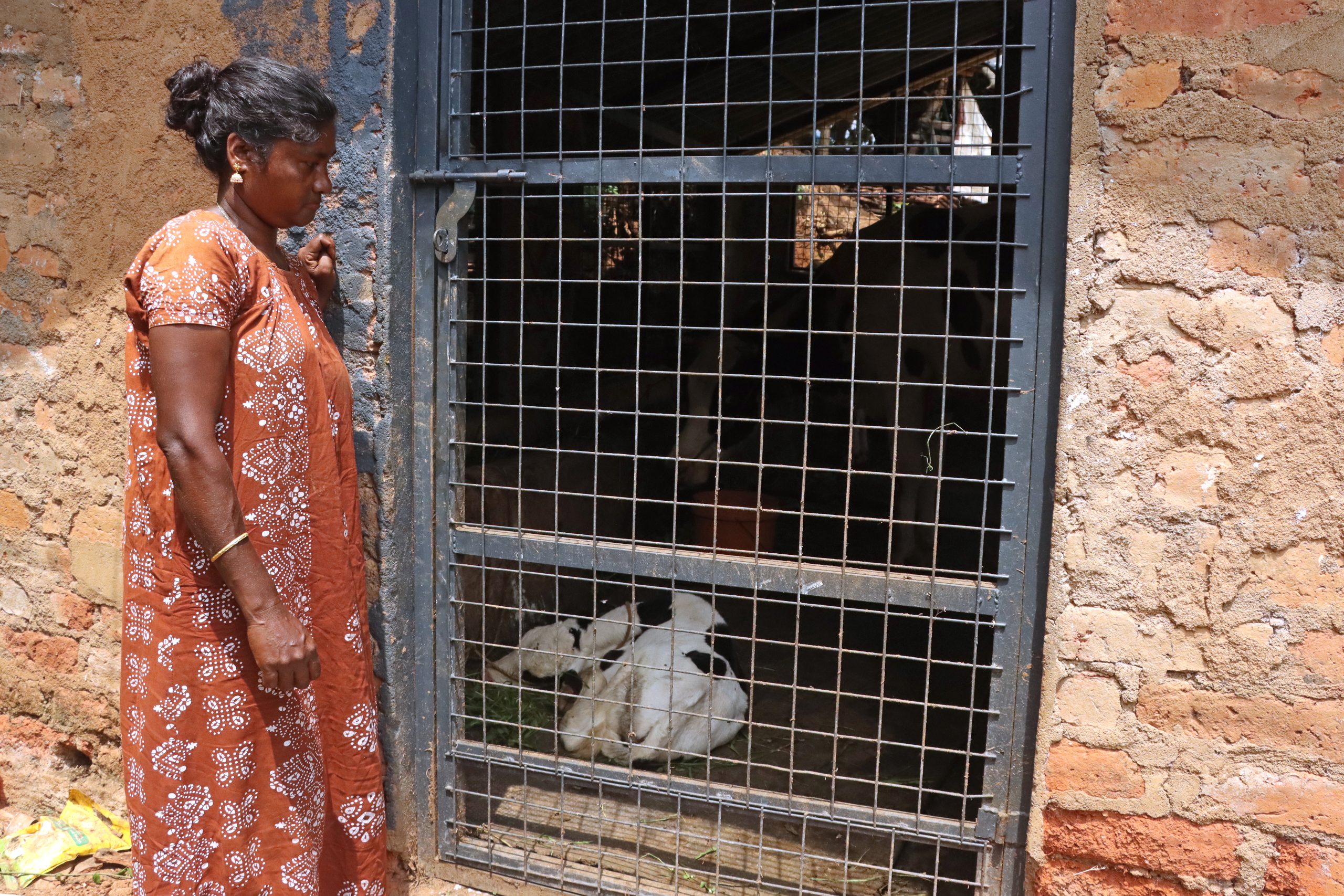 Predator-proof livestock shelters – A step towards human-wildlife ...