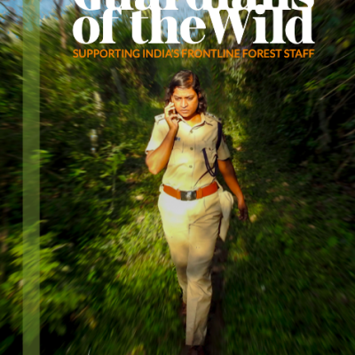 Canopy bridges – A hope to protect the Mysore slender loris - Wildlife ...